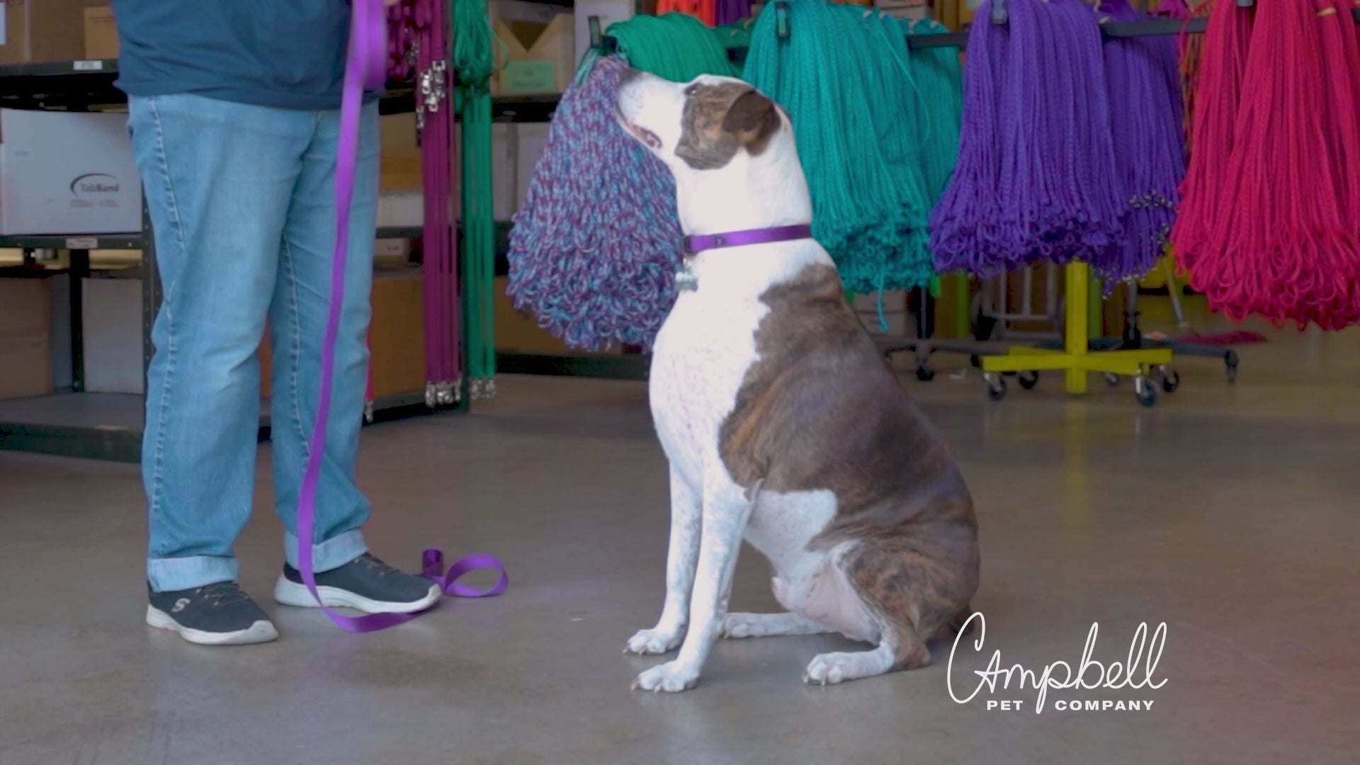 MyOneLeash – Campbell Pet Company
